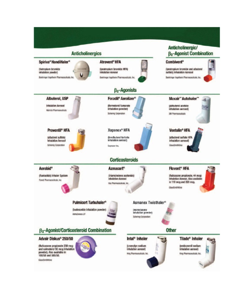 Inhaler Types and Brand Names Overview | PDF | Science & Mathematics