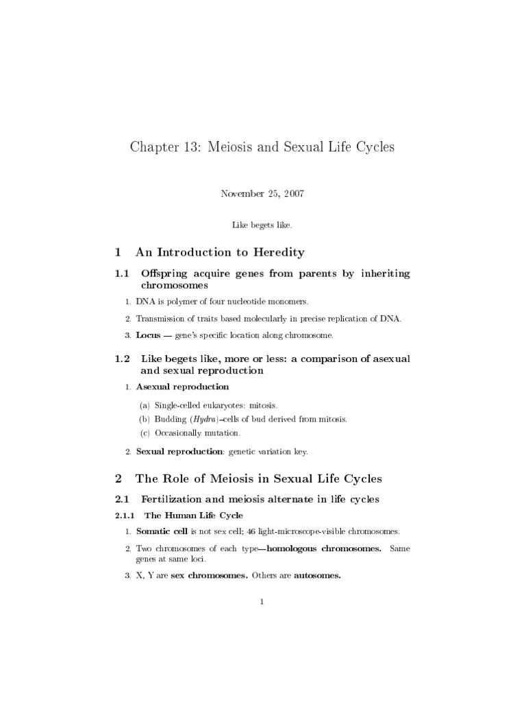 Chapter 13:meiosis and Sexual Life Cycles | PDF | Meiosis | Ploidy