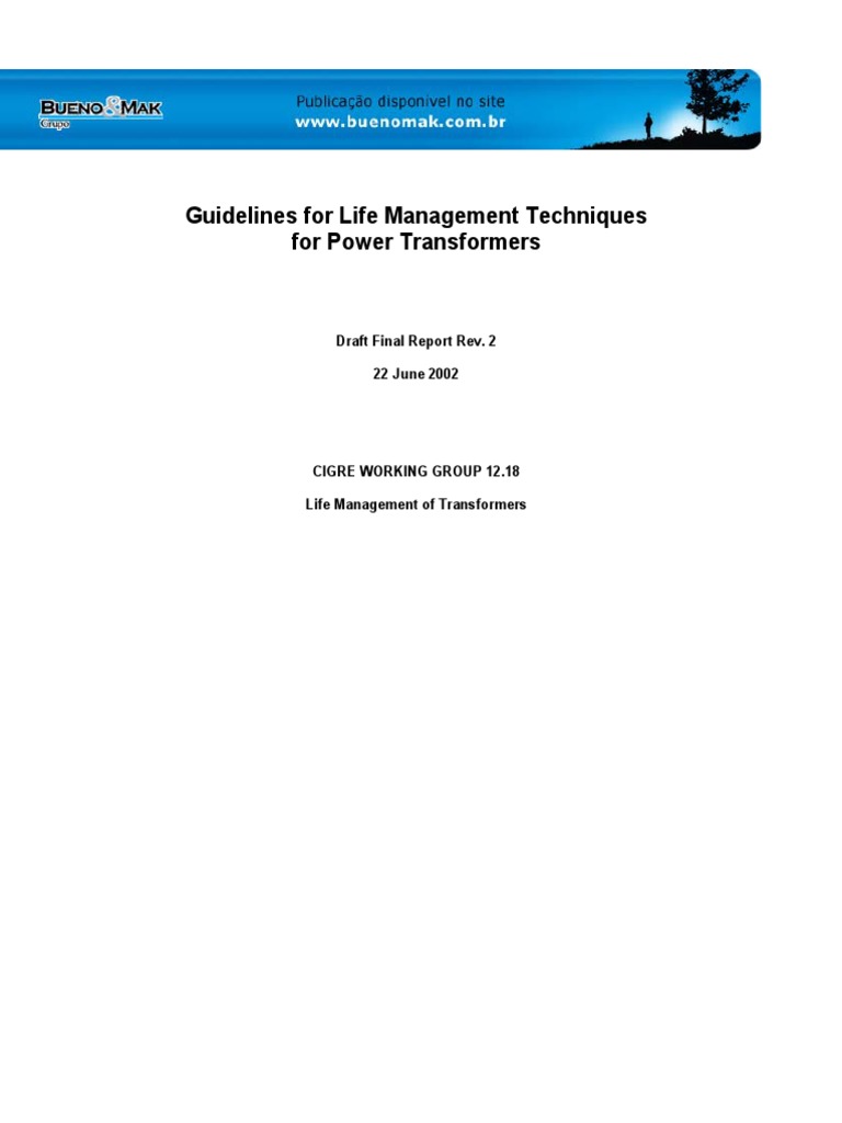 Cigre Guidelines For Life Management Techniques For Power Transformers ...