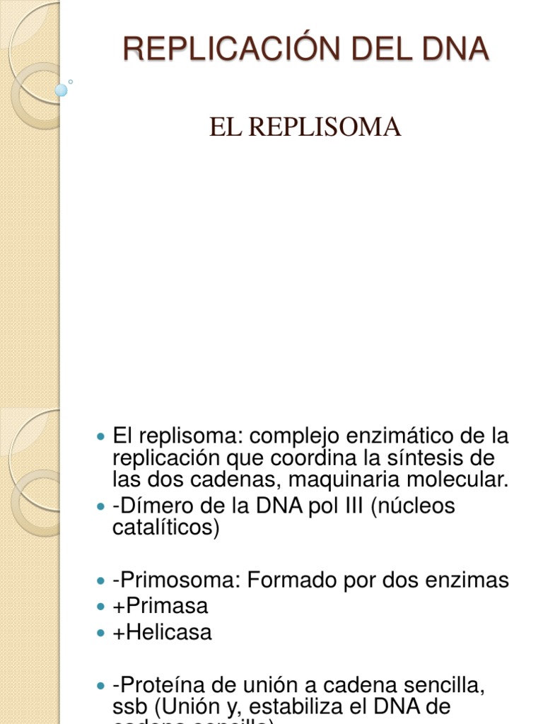 Replisoma | PDF | Replicación De Adn | Adn