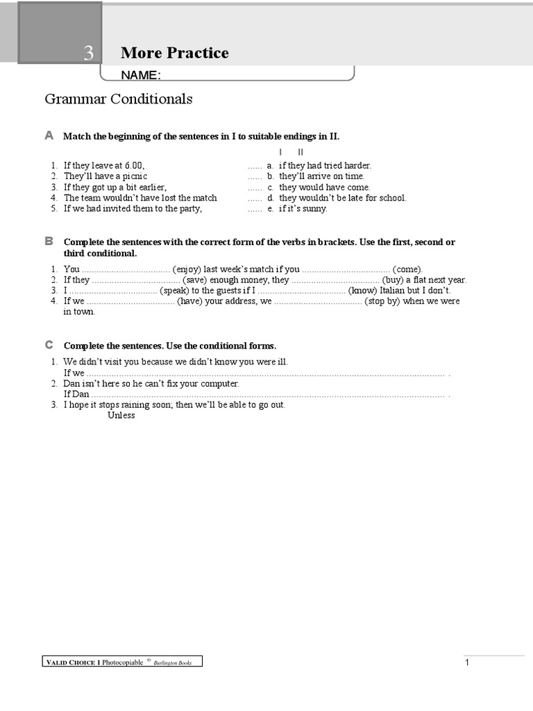 More Practice: Grammar Conditionals | PDF