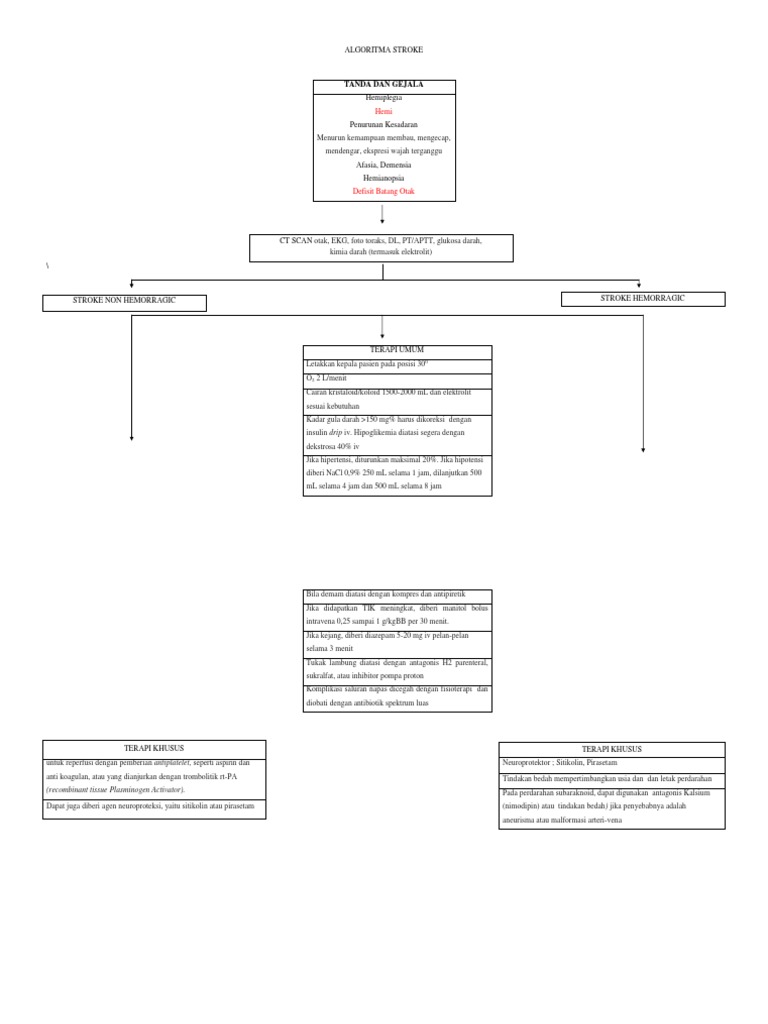 Algoritma Tatalaksana Stroke Hemoragik | PDF