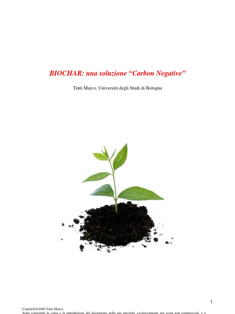 Biochar Carbon Negative | PDF