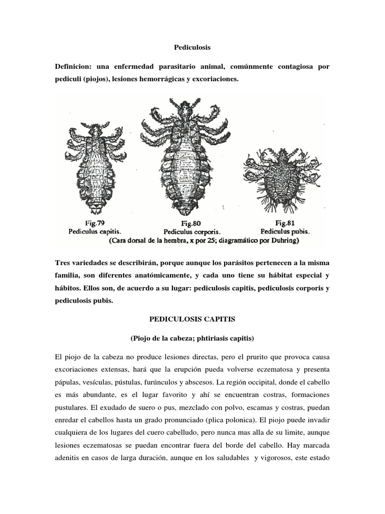 Pediculosis Capitis | PDF | Salud y bienestar | Medicina