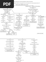 Pathway Penyakit Jantung Bawaan