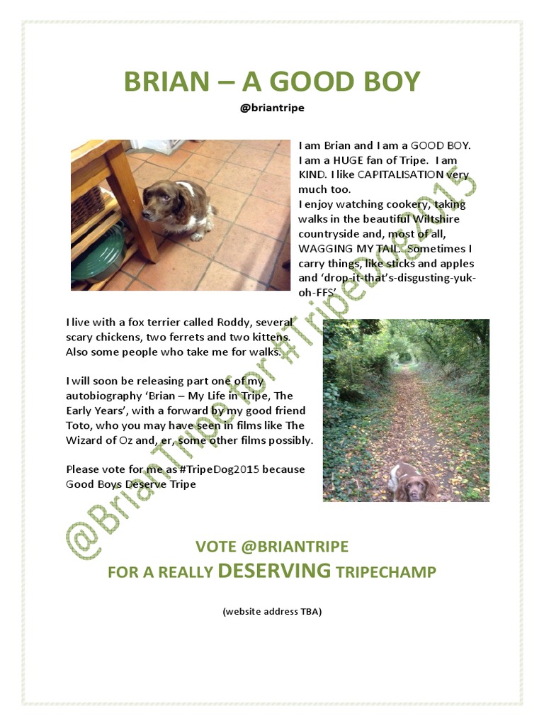 Brian Tripe Champ | PDF