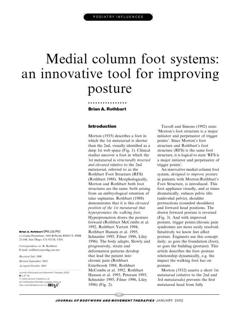 Medial Column Foot Systems Explained | PDF | Foot | Toe