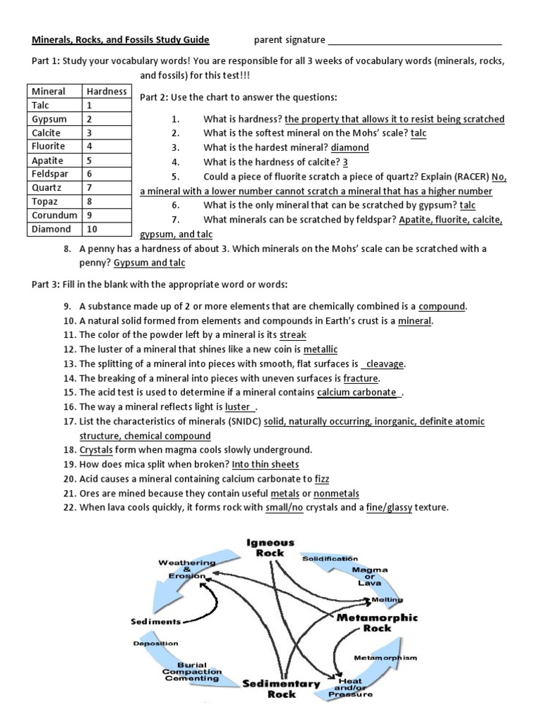 Rocks, Minerals, and Fossils Study Guide | PDF | Rock (Geology) | Minerals