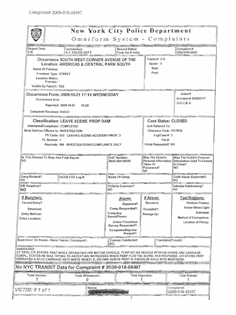 Horse Carriage NYPD Accident Police Reports #1 | PDF | New York City ...
