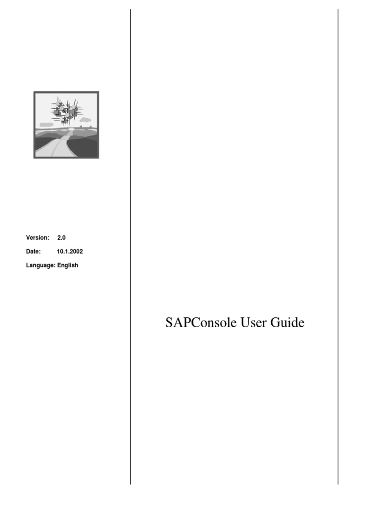 Sapconsole 2002 Installation | PDF | Computer Terminal | Command Line Interface