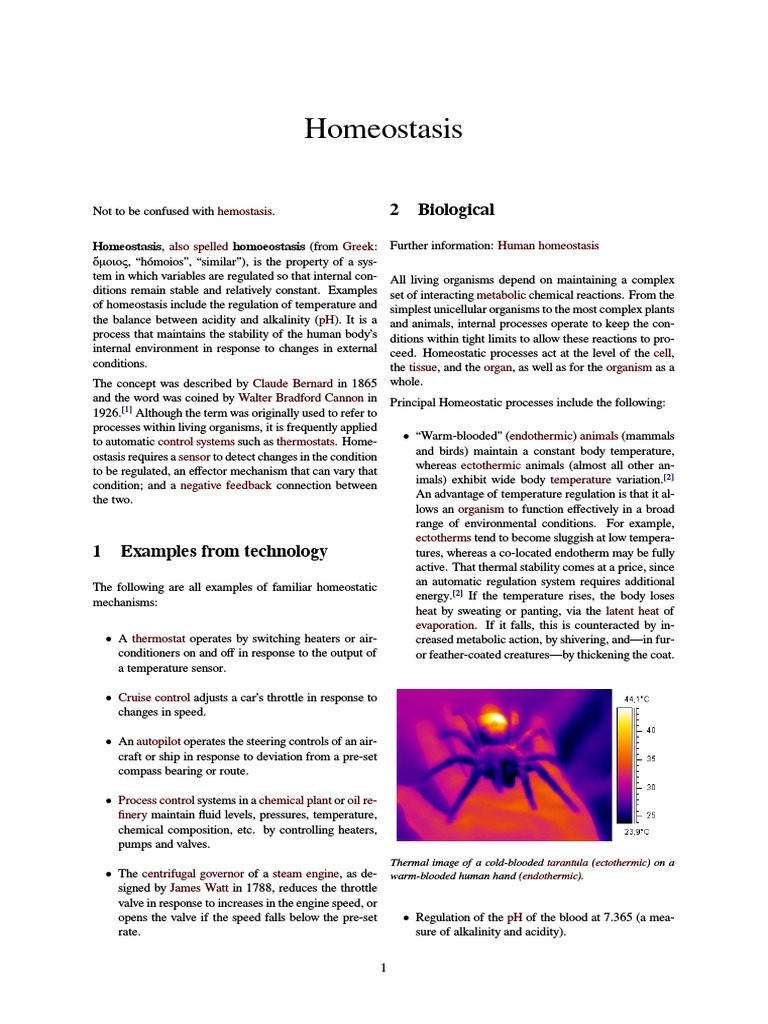 Homeostasis Review | PDF | Homeostasis | Thermoregulation