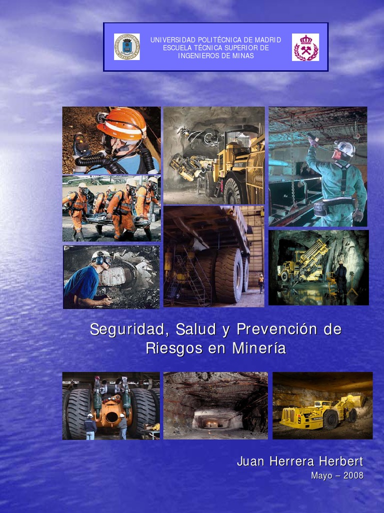 Seguridad y Salud en Mineria | PDF