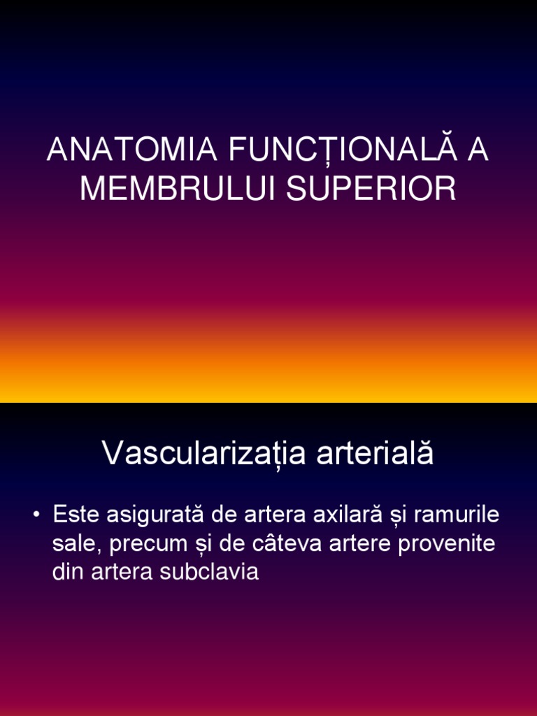 Anatomia Funcțională A Membrului Superior | PDF