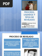 Líneas de Langer: Guía y Aplicaciones | PDF | Cirugía | Piel