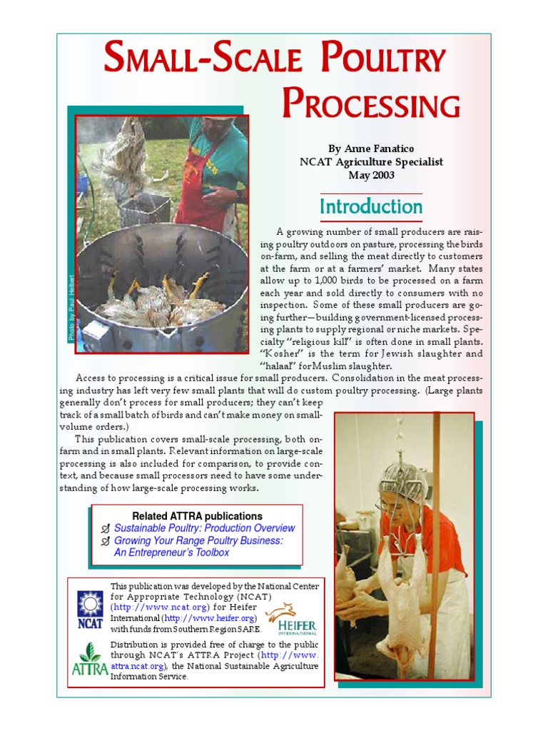 Small-Scale Poultry Processing Guide | PDF | Poultry | Meat