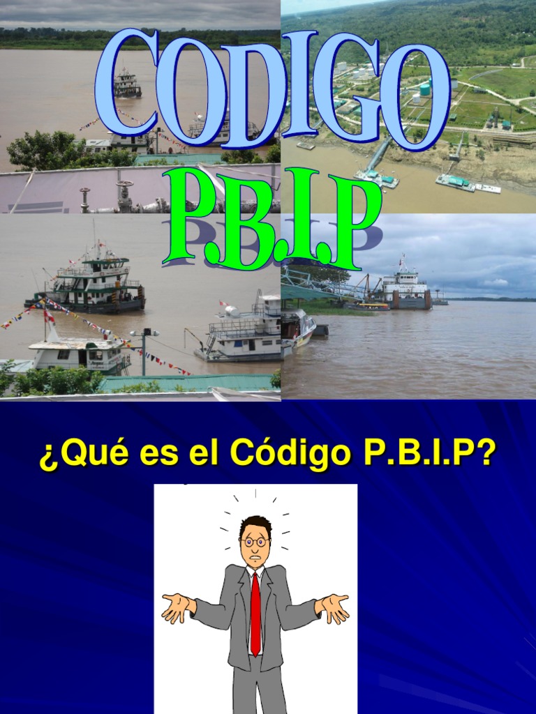 Código PBIP | PDF | Gobierno
