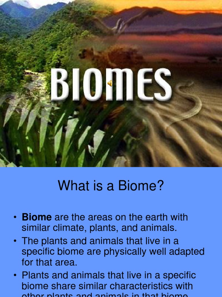 Understanding Earth's Biomes Explained | PDF | Forests | Ecology