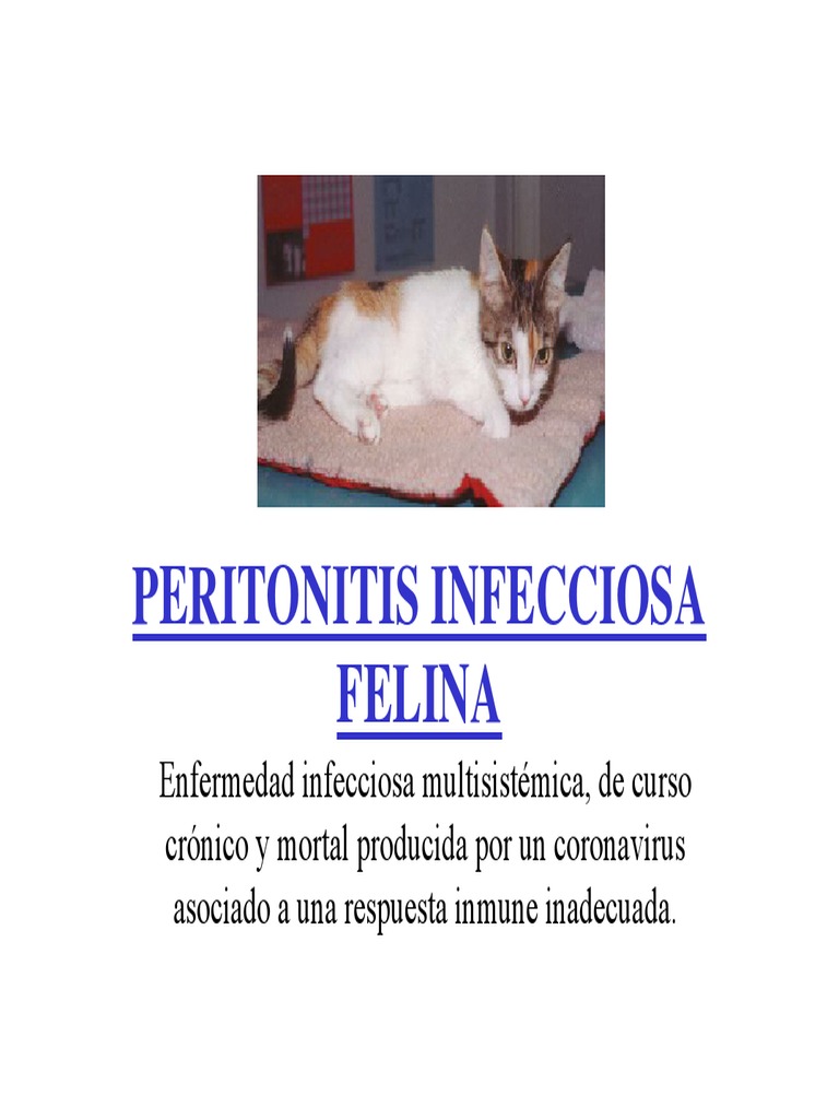 Peritonitis Felina | PDF | Medicina CLINICA | Enfermedades y trastornos