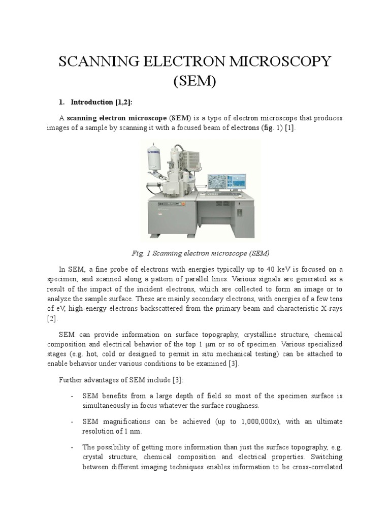 Introduction to Scanning Electron Microscopy | PDF | Scanning Electron ...