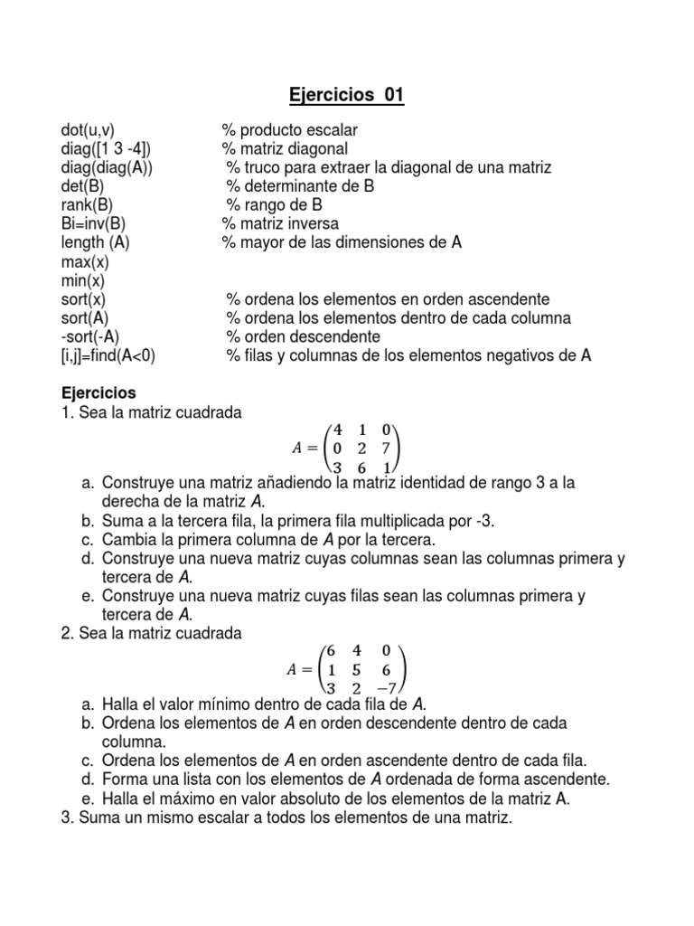 Ejercicios de Matlab PDF | PDF | Matriz (Matemáticas) | Determinante