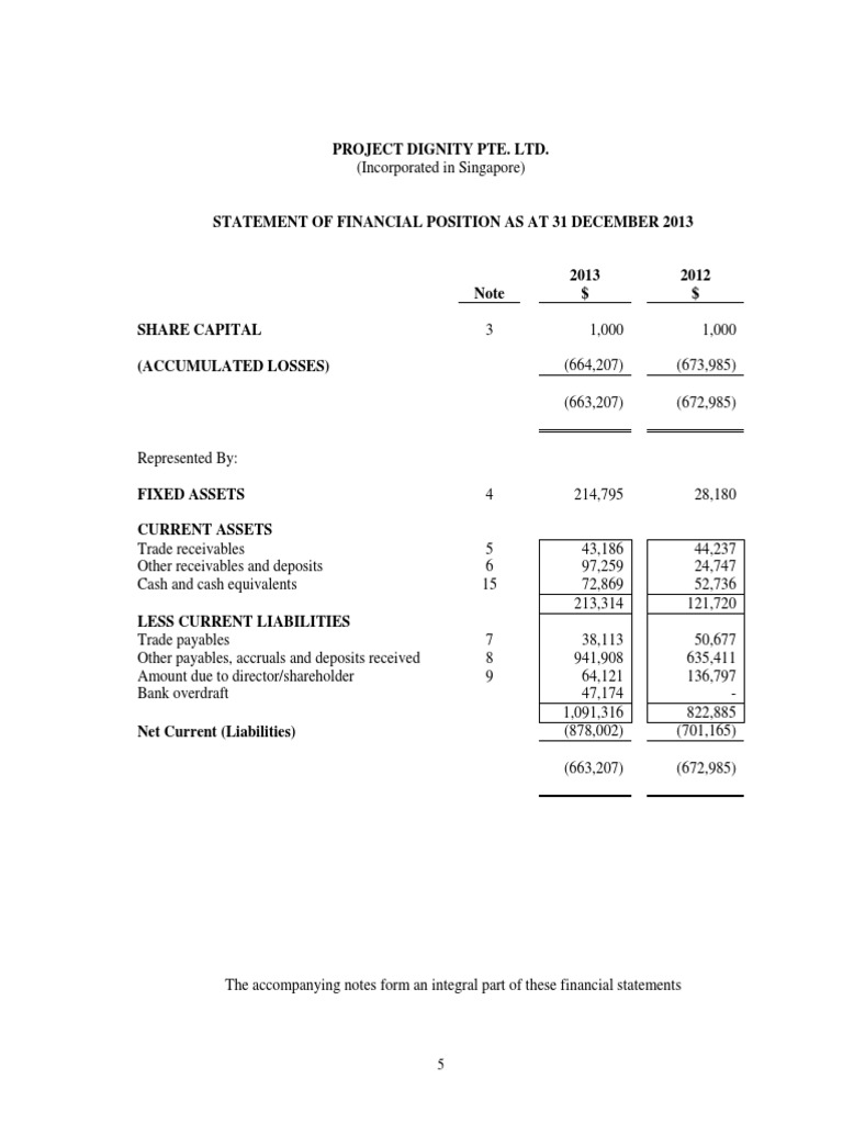 PD 2013 Fin Statements | PDF | Financial Accounting | Investing