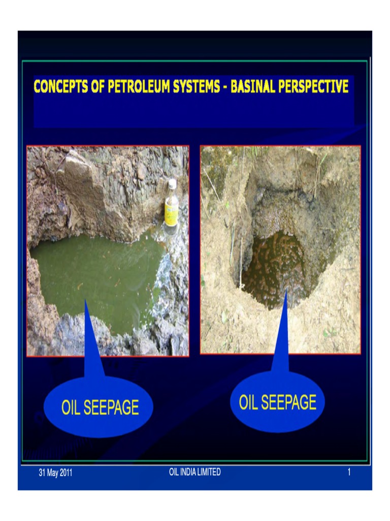 Petroleum | PDF | Technology & Engineering