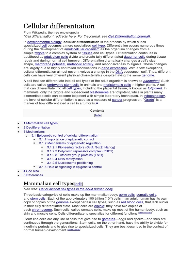Cellular Differentiation: Mammalian Cell Types | PDF | Cellular ...