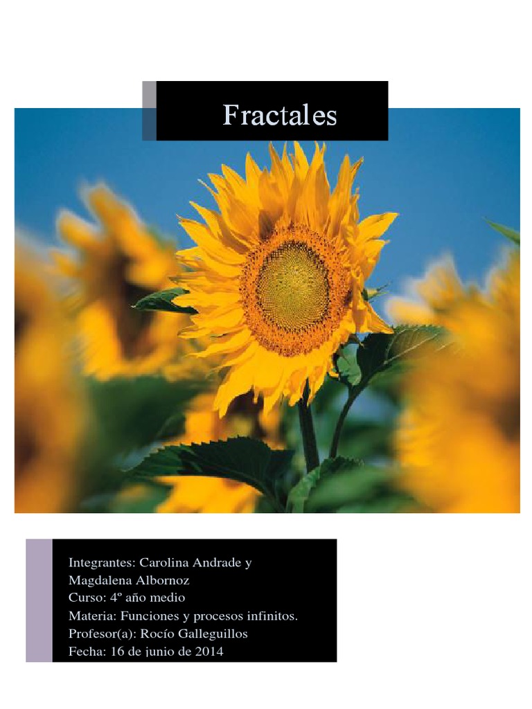 Definición y características de fractales | PDF | Fractal | Dimensión