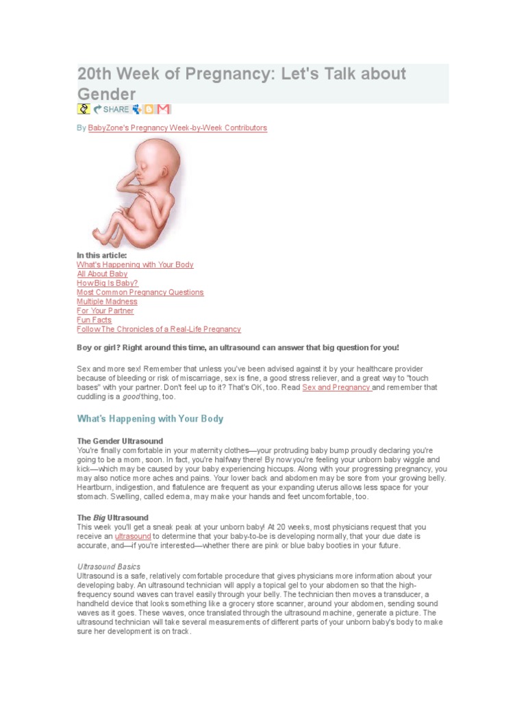 An In-Depth Look at the 20th Week of Pregnancy: Learning the Baby's ...