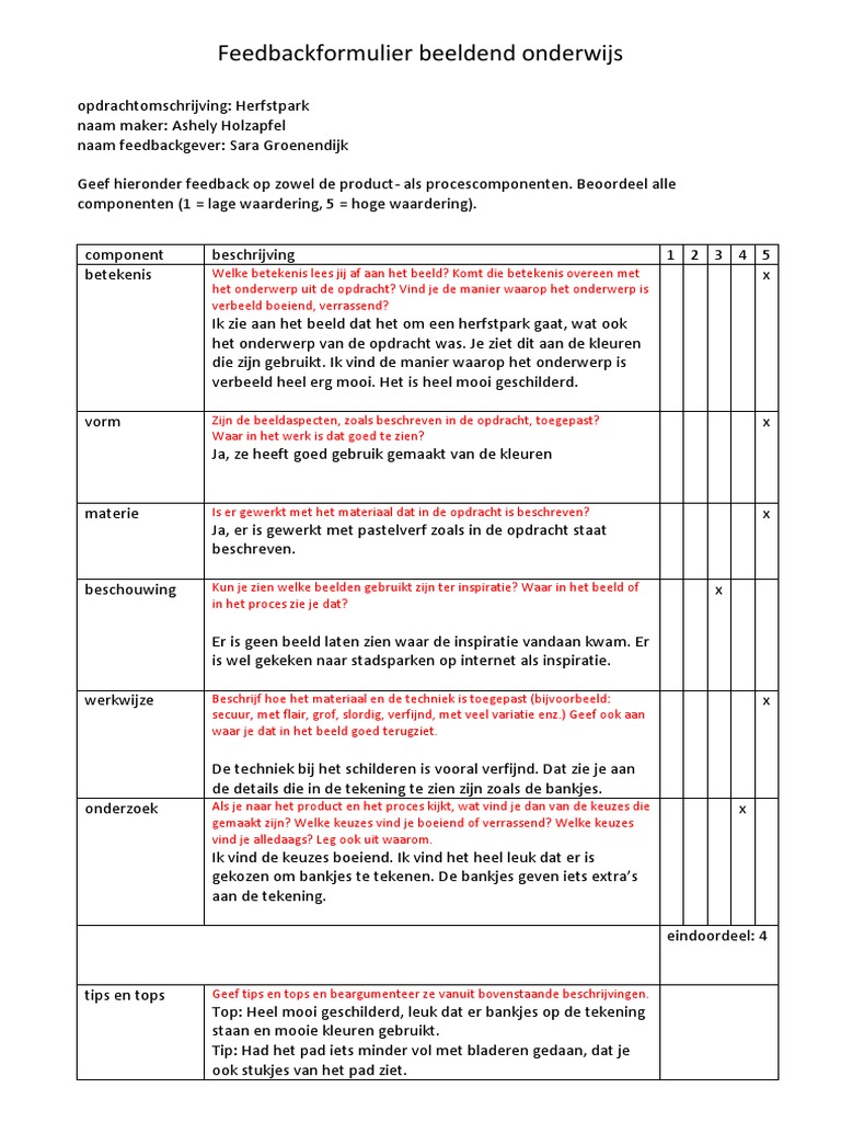 Feedbackformulier Ashley | PDF
