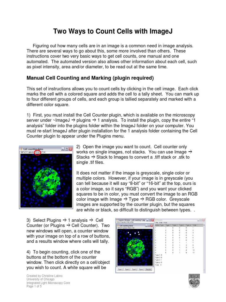 Two Ways To Count Cells With Imagej: Manual Cell Counting and Marking (Plugin Required) | PDF ...