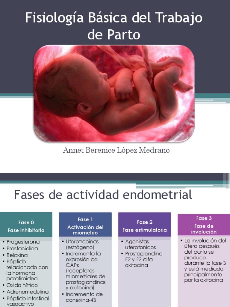 Fisiología Básica del Trabajo de Parto.pptx | Parto | Actina