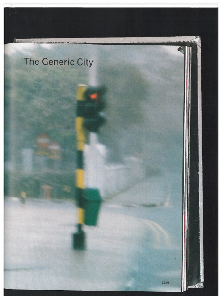 The Generic City - Rem Koolhaas Scan (S, M, L, XL) | PDF