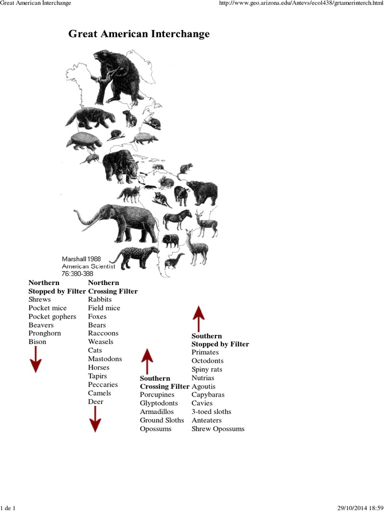 Great American Interchange Species List | PDF | Home & Garden | Science ...