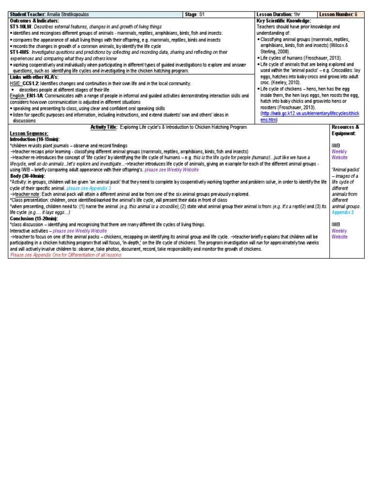 Lesson Plan 6 - Exploring Life Cycles Introduction To Chicken Hatching ...