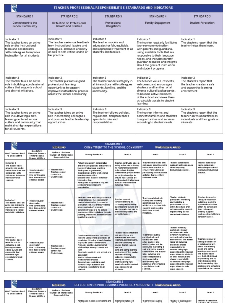 Nepf Teacher Professional Responsibilities | PDF | Mentorship | Teachers