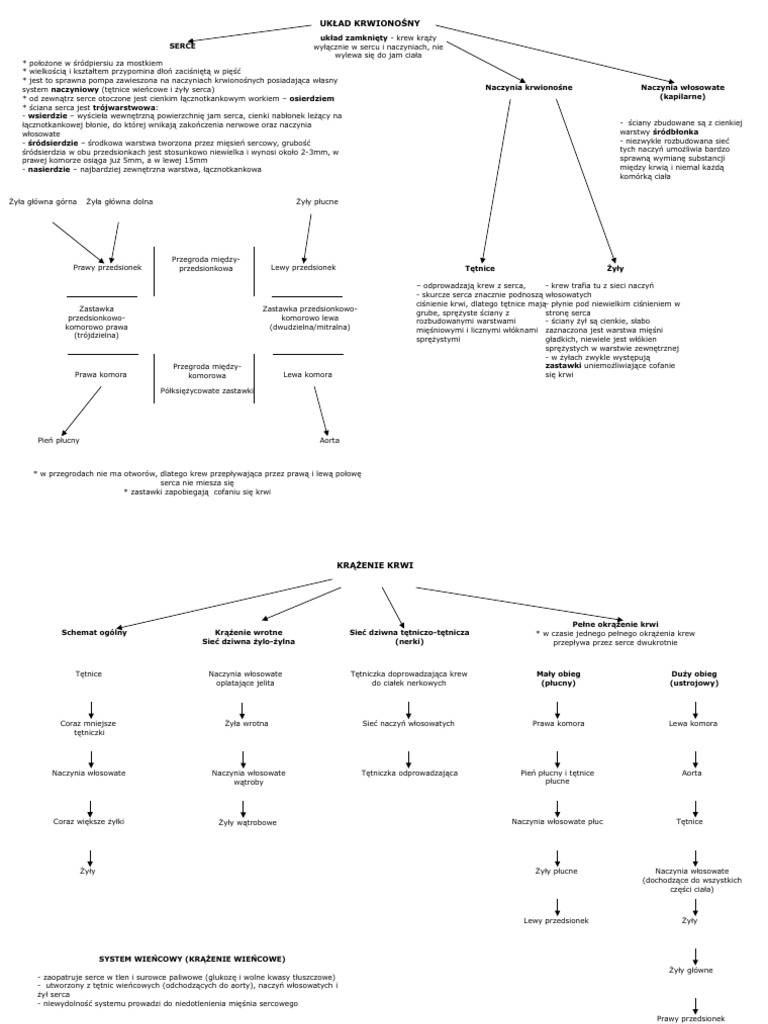 Uklad Krazenia | PDF
