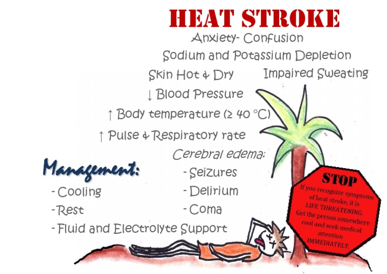 Confusion Skin Hot & Dry Impaired Sweating Sodium and Potassium ...