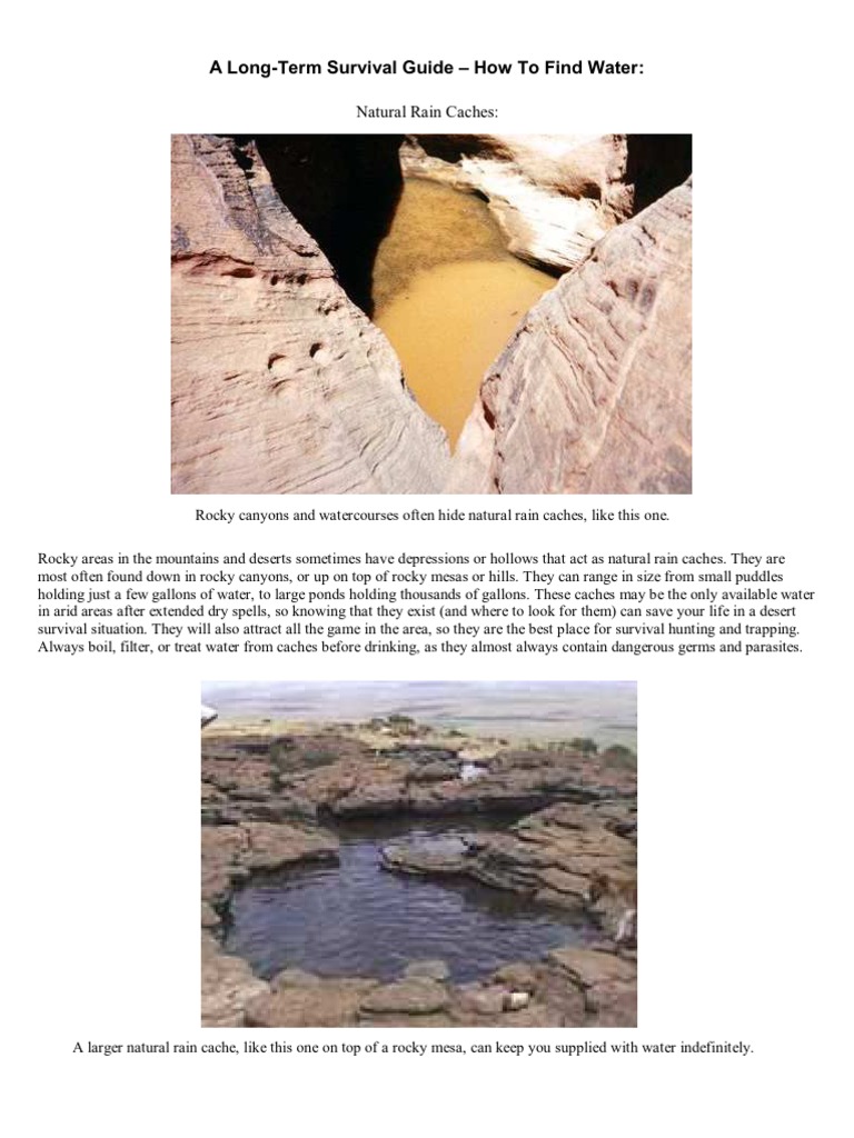 A Long-Term Survival Guide - How To Find Water | PDF | Geomorphology ...