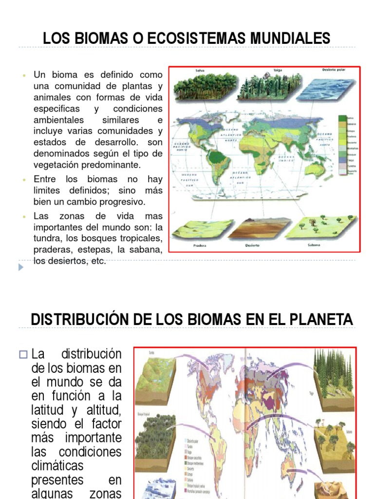 Biomas | Descargar gratis PDF | Selva | Zona tropical