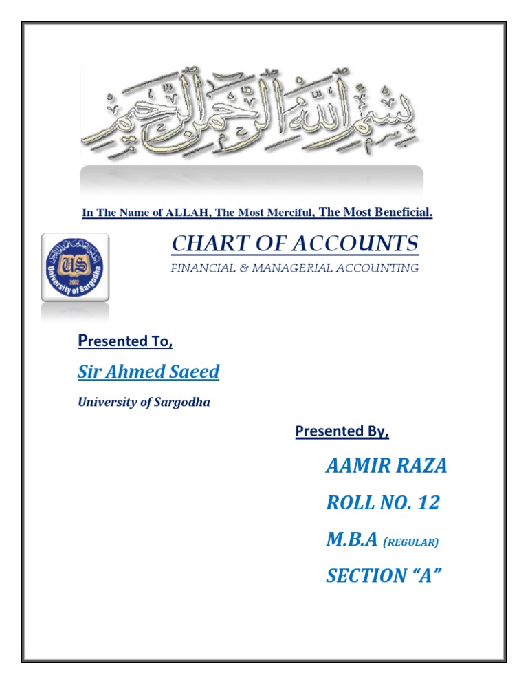 Chart of Accounts Overview | PDF