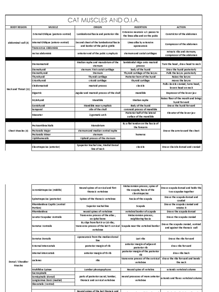 Cat Muscles and O.I.A.: Body Region Muscle Origin Insertion Action ...