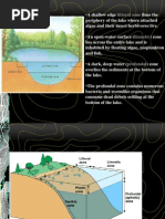 Lake Zonation: Zones Explained | PDF