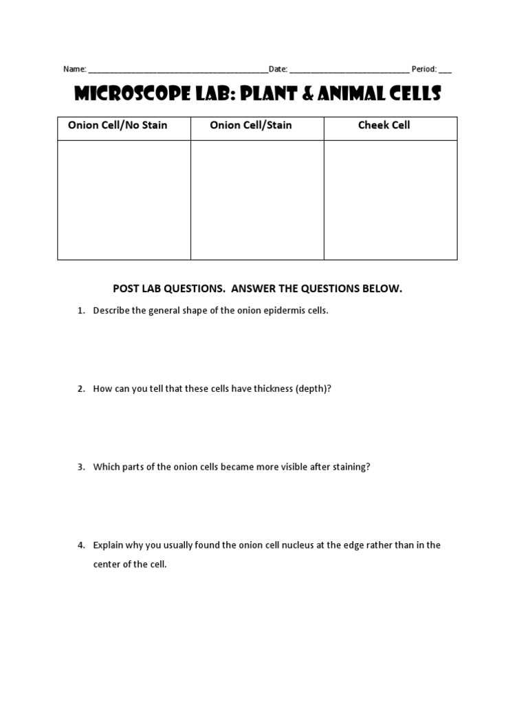 Microscope Lab: Plant & Animal Cells | PDF