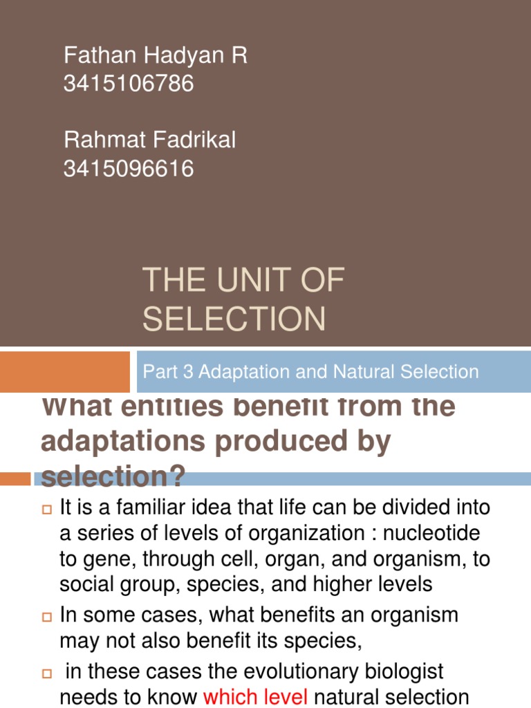 The Unit of Selection | PDF | Natural Selection | Allele
