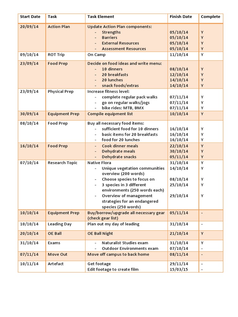 Action Plan Table | PDF