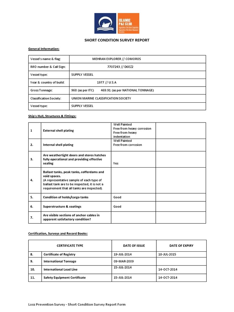 LPS - Short Condition Survey Report Form - MEHRAN EXPLORER | PDF ...