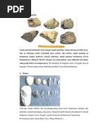 Kapak Lonjong: Alat Neolitikum dan Persebarannya | PDF