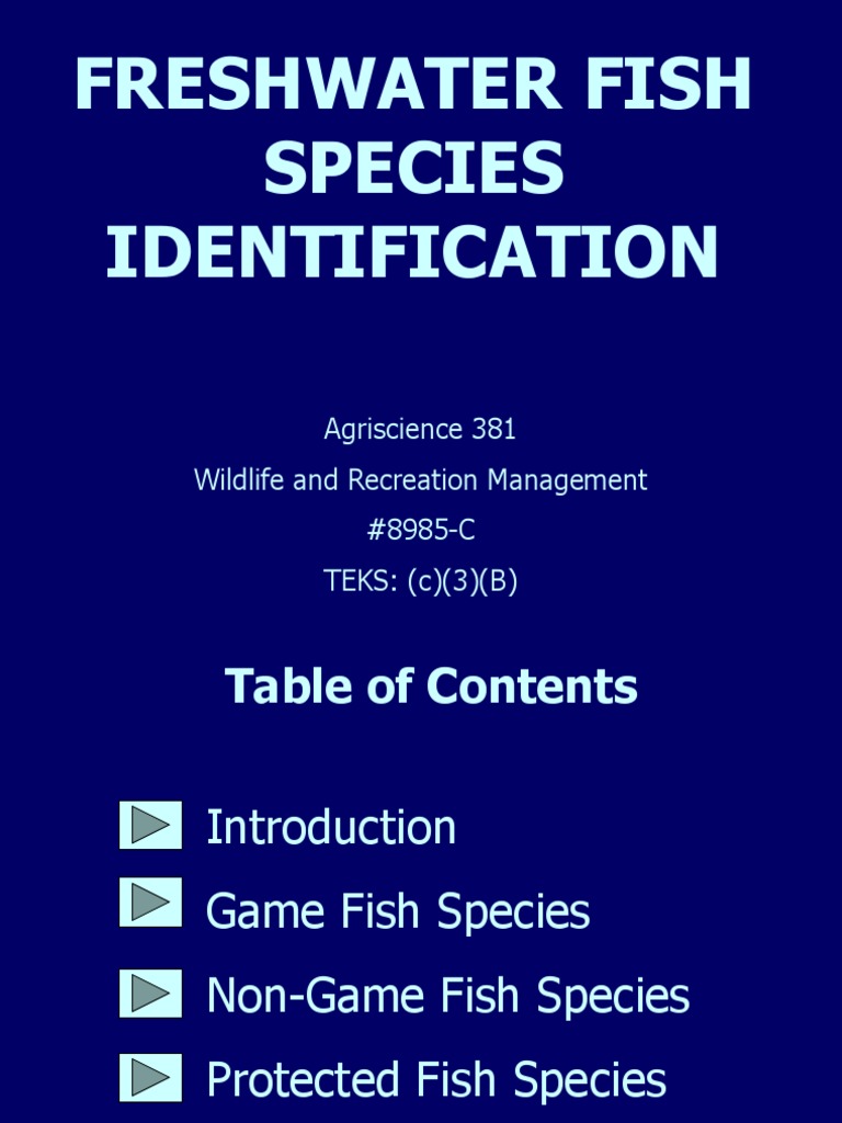 Identification Freshwater Fish Pdf Rainbow Trout Anatomical Terms