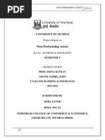 PNB Summer Internship Report | PDF | Loans | Credit (Finance)